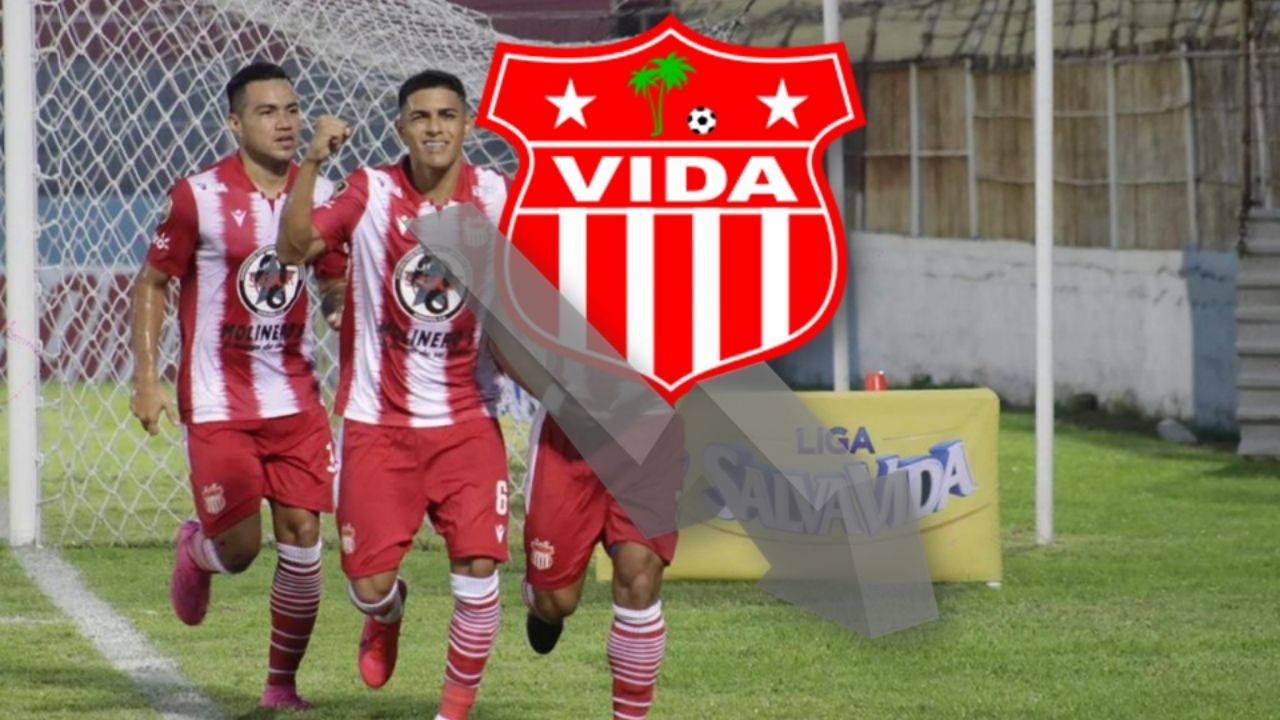 Vida se vuelve atascar en su proceso fallido y aparece la incertidumbre